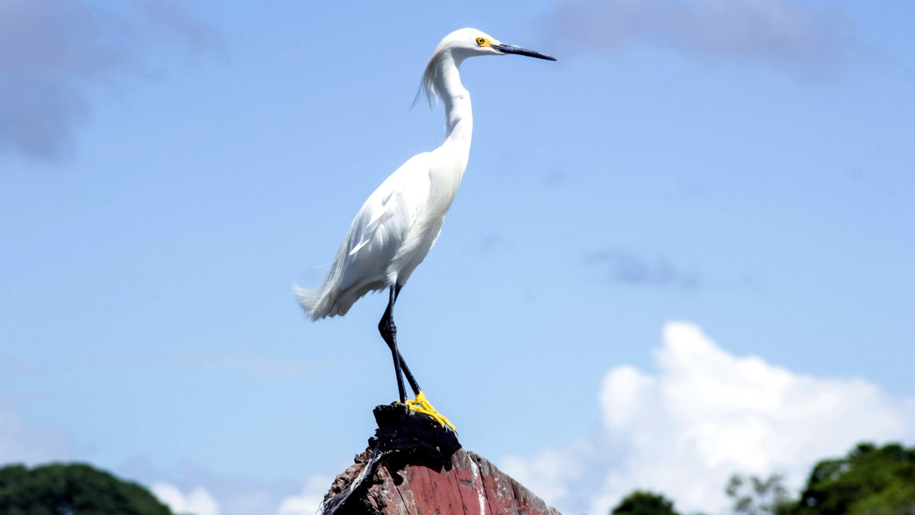 Phatthalung travel guide - Activities, Events & Things to do