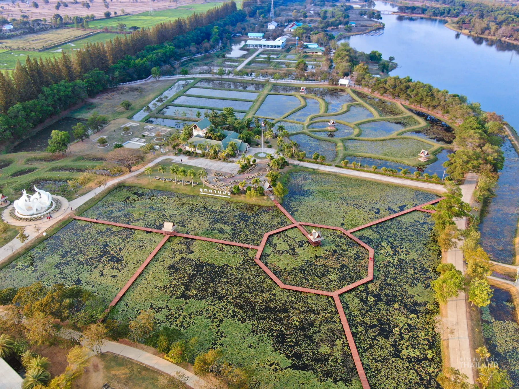 Nong Han Chaloem Phrakiat Lotus Park in Sakon Nakhon - It's better in ...