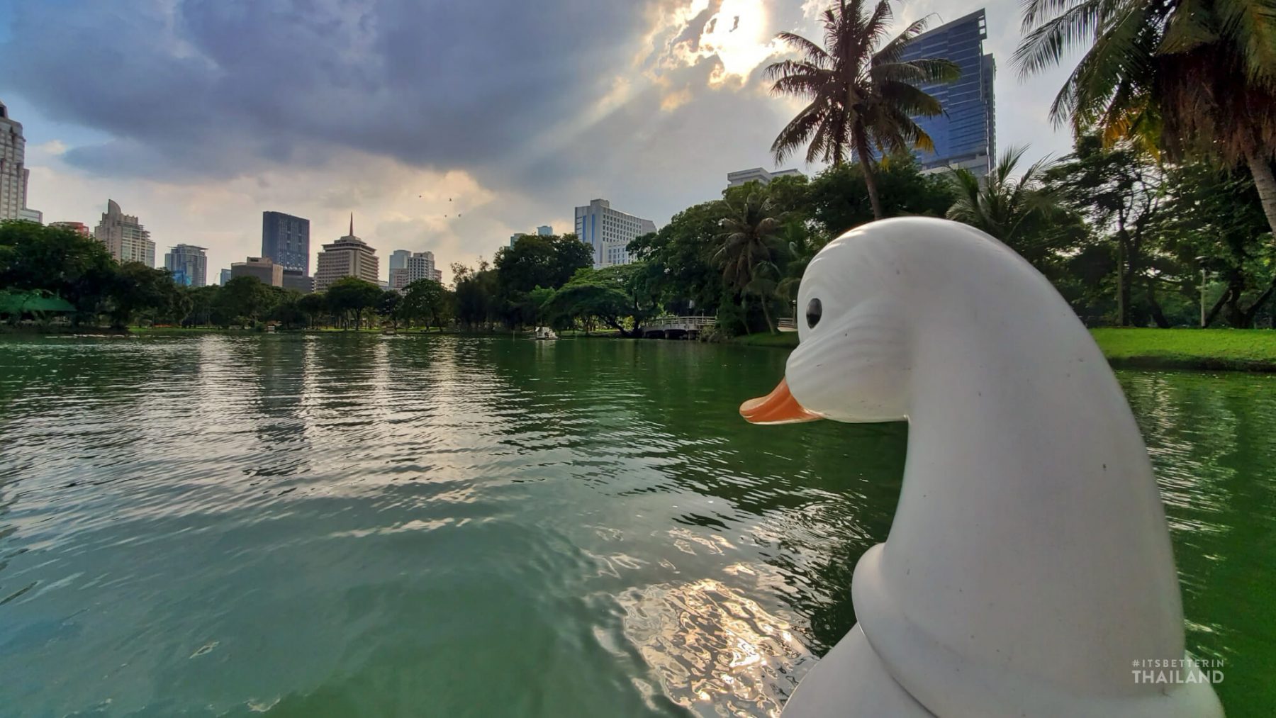Lumpini Park Bangkok: Our insider's guide - It's better in Thailand